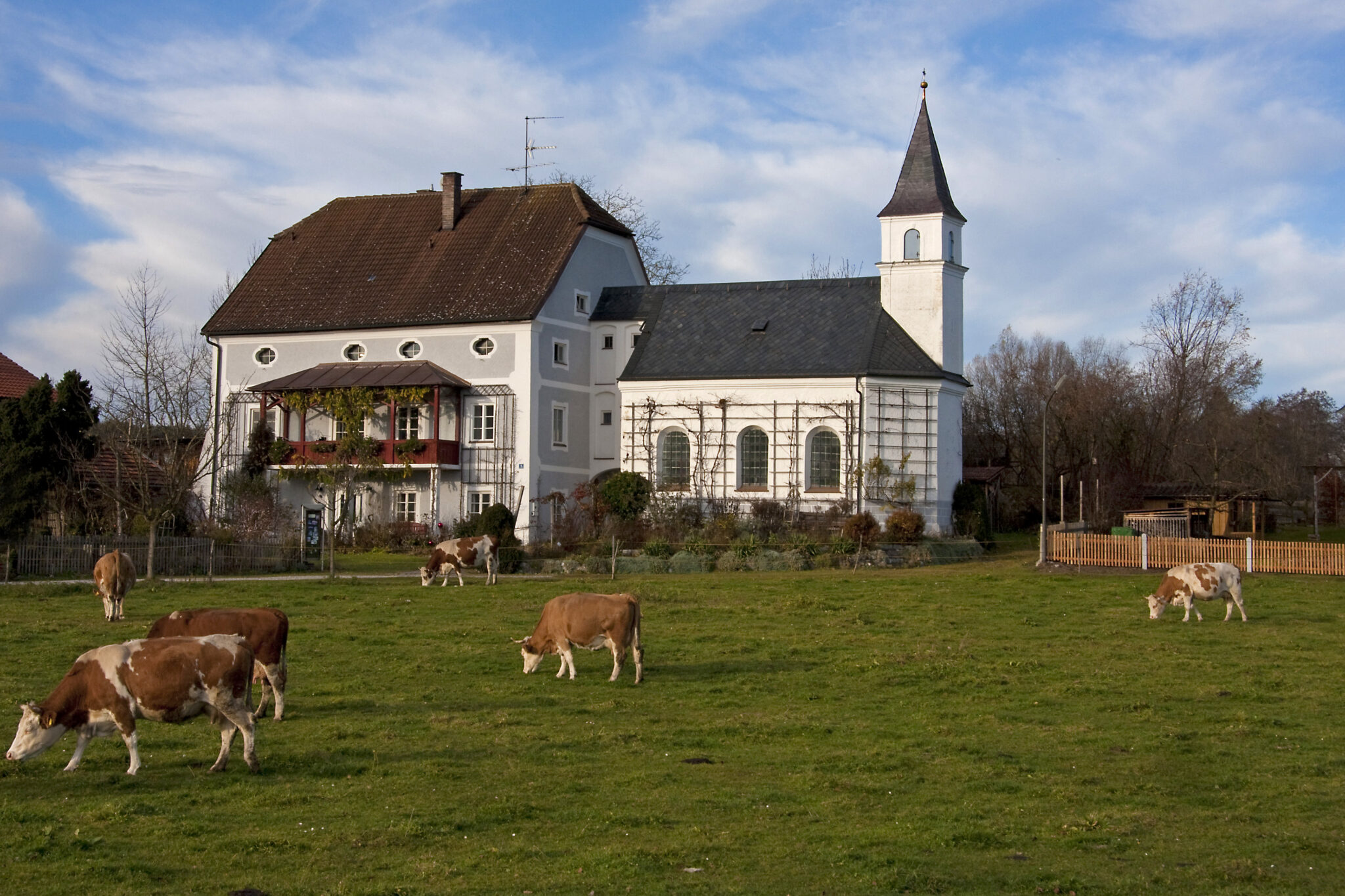 Hollerner See – Badespaß & Naturidylle bei München - Geheimatorte